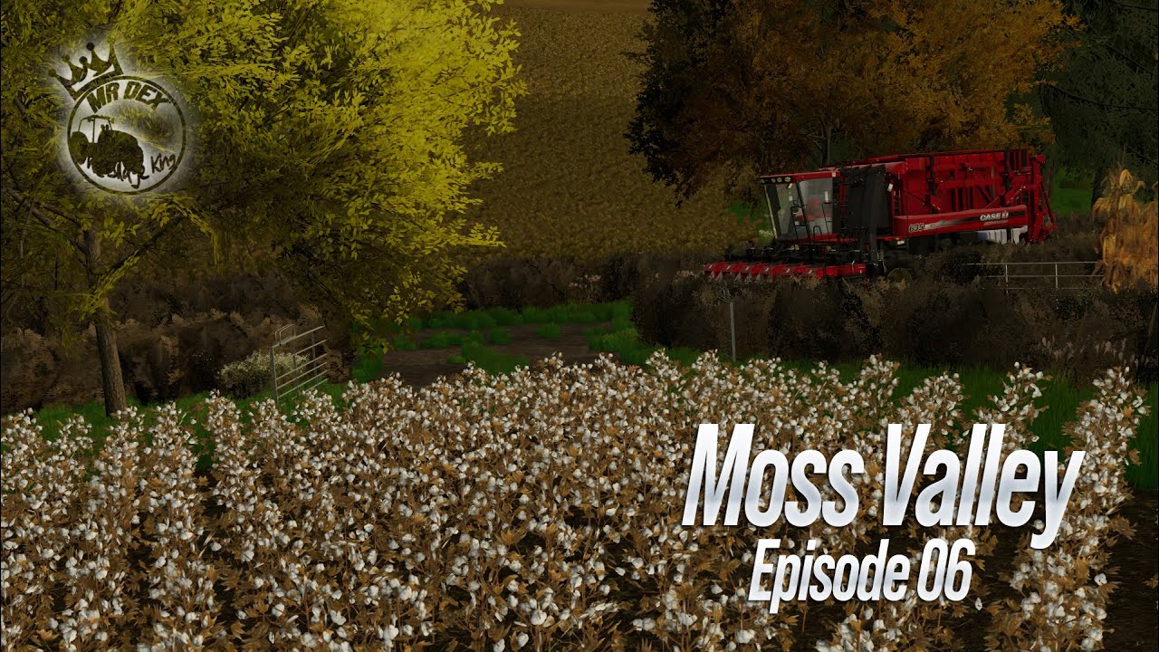 Moss Valley - Episode 6 - YouTube