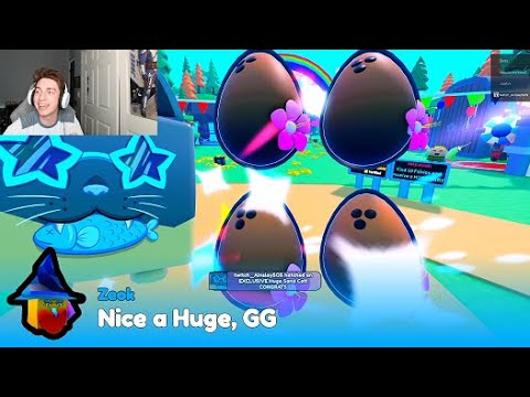 PET RIFT 100 SUMMER EGG OPENING - YouTube