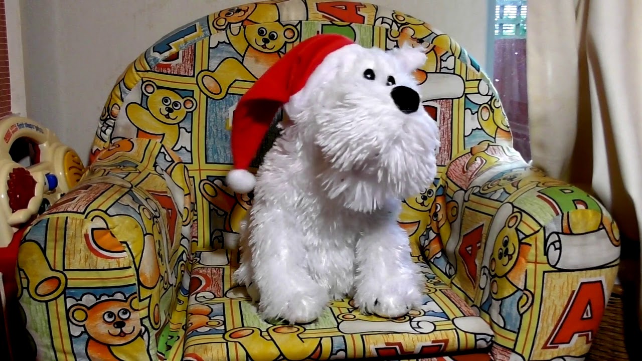 Timmy's Singing Dog Toy - YouTube