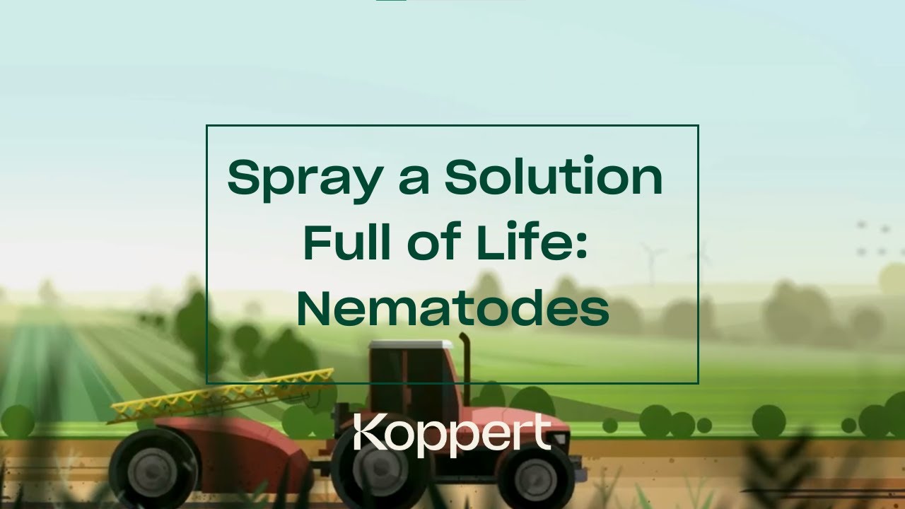 Full of life spray solution- Nematodes: Koppert - YouTube