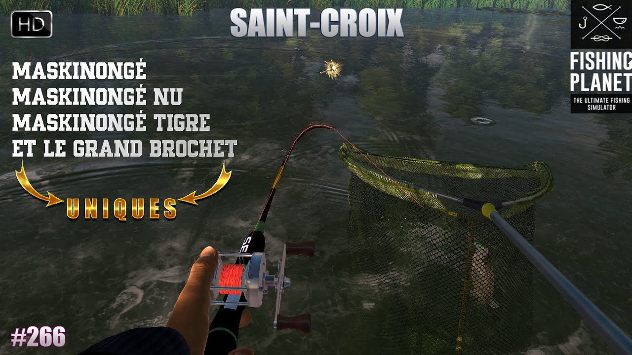 FISHING PLANET LAC SAINT-CROIX #266 ON PÊCHE LES MASKINONGÉS UNIQUES ET LE GRAND BROCHET UNIQUE ...
