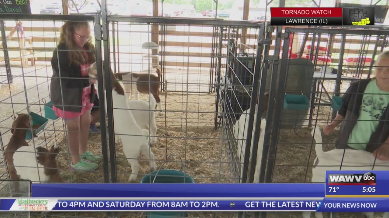 The Stahly’s: a multigenerational 4H family - YouTube