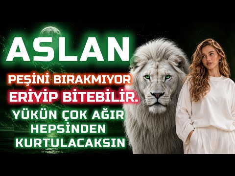ASLAN BURCU \