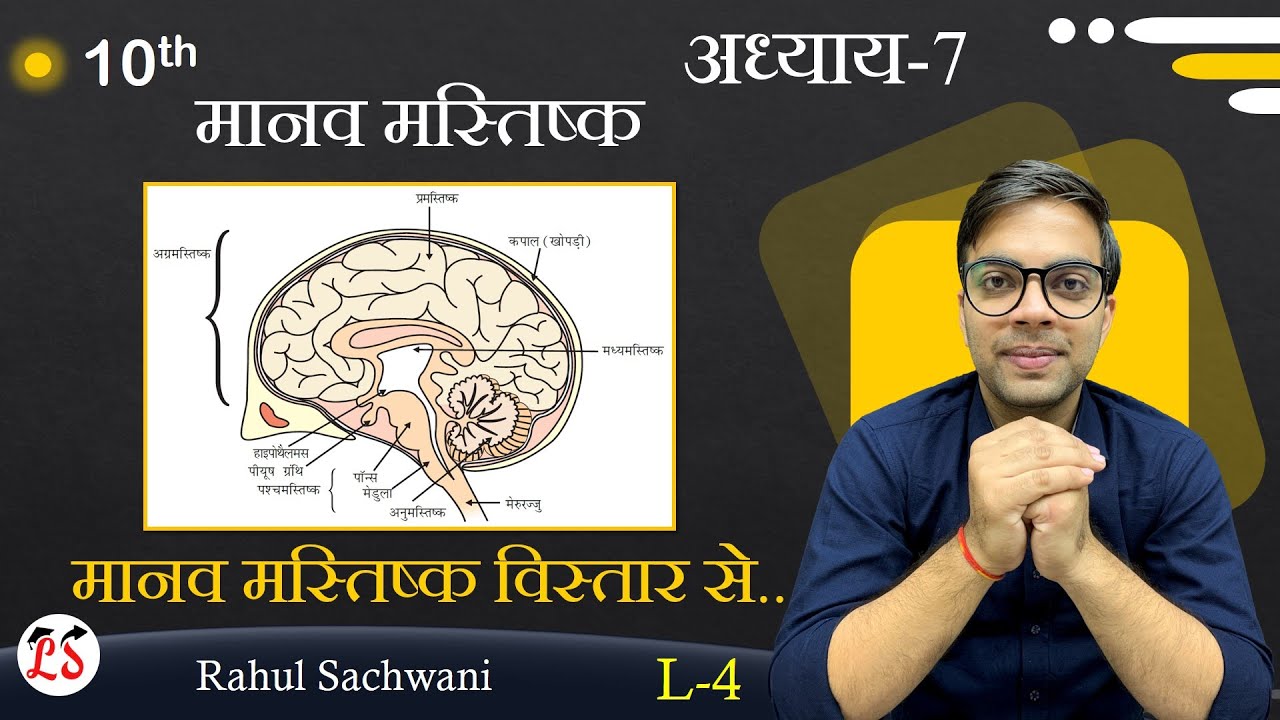#4 मानव मस्तिष्क विस्तार से | Complete details about Human Brain अध्याय ...