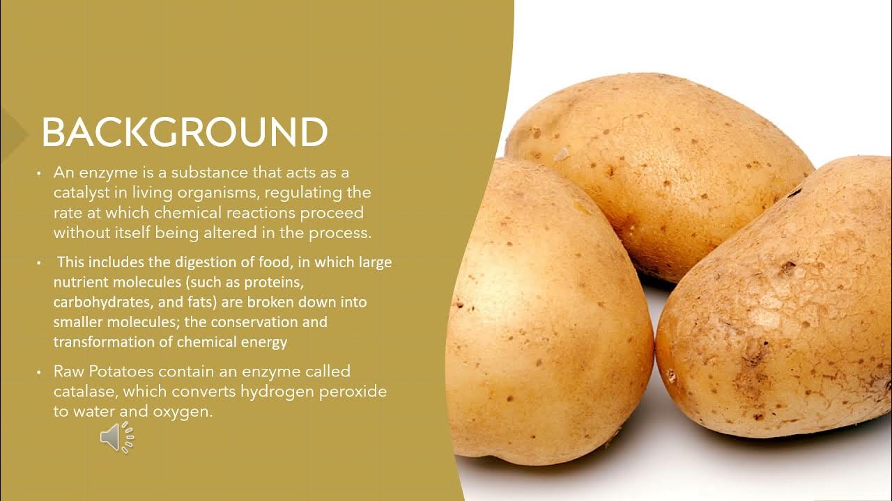 POTATO ENZYME EXPERIMENT - YouTube
