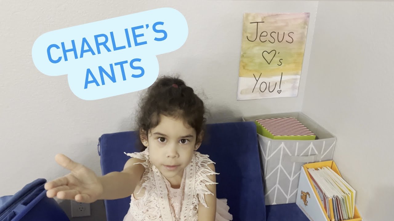 Charlie's Ants | A Story Explaining How Much God Loves Us - YouTube
