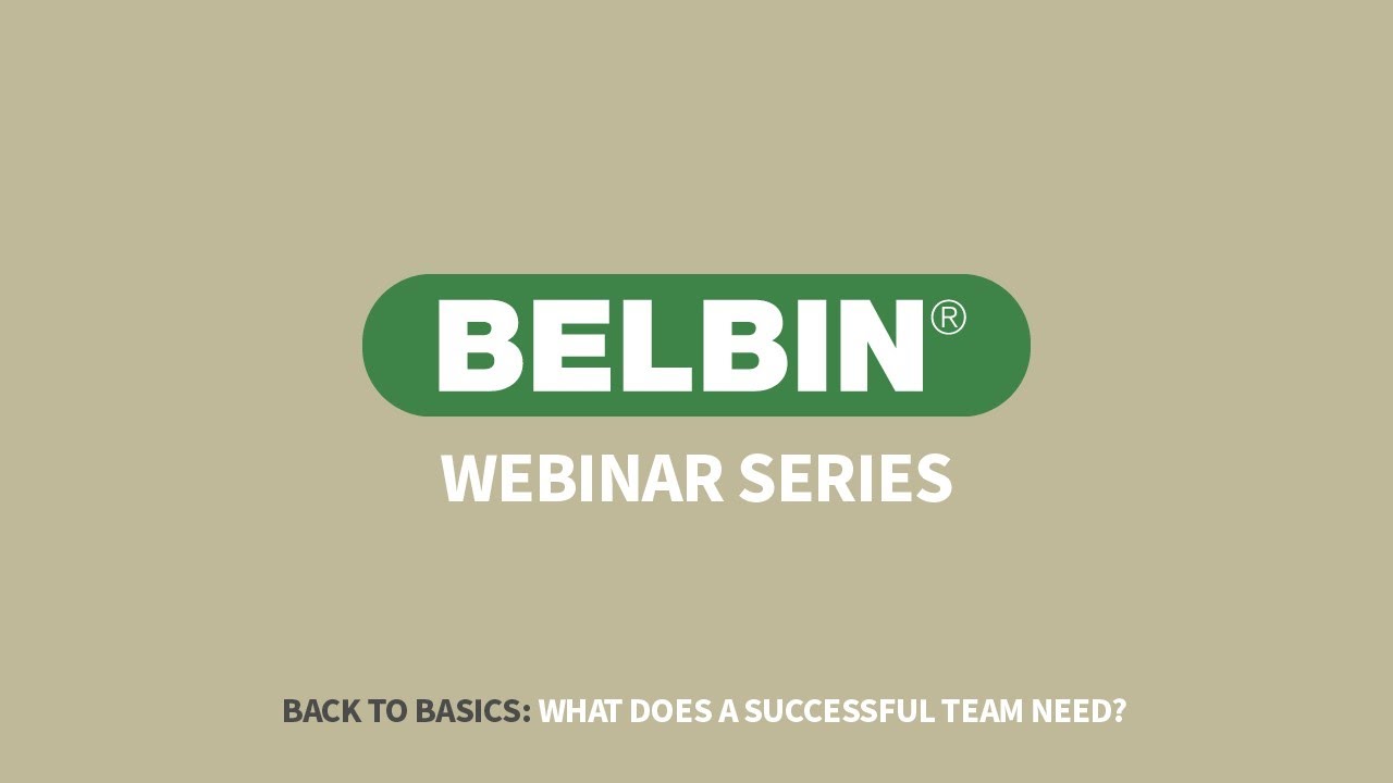 Belbin Team Roles: What does a successful team need? (Belbin 2020 ...