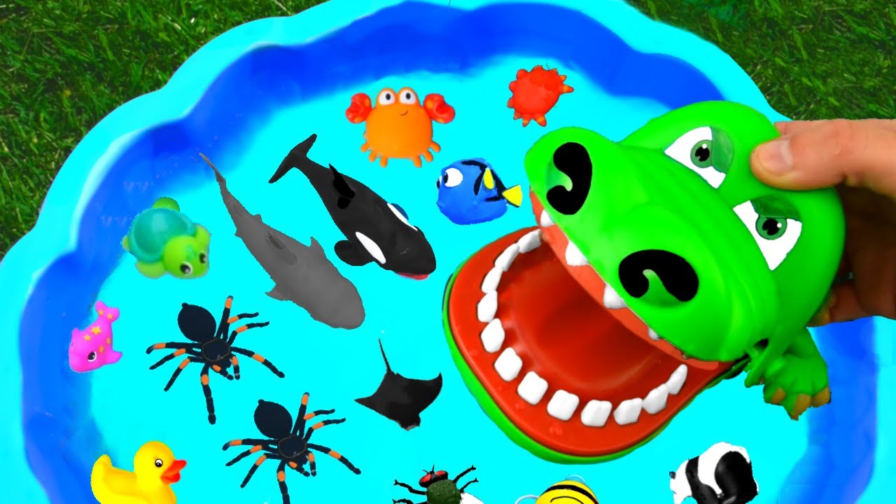 Pool With Wild Animals - Learn Animal Names For Kids - YouTube