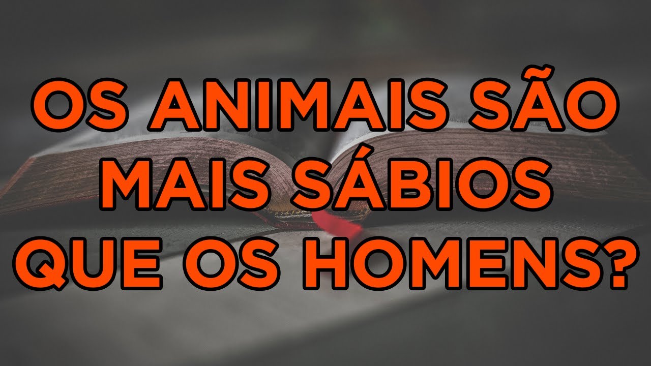 Os Animais são mais Sábios que os Homens? - Estudo de Capítulos ...