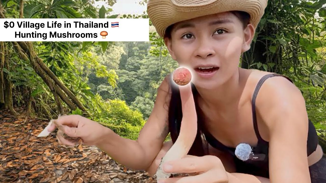 My Village Life in Thailand – Hunting Mushrooms & Wild Fruits # ...