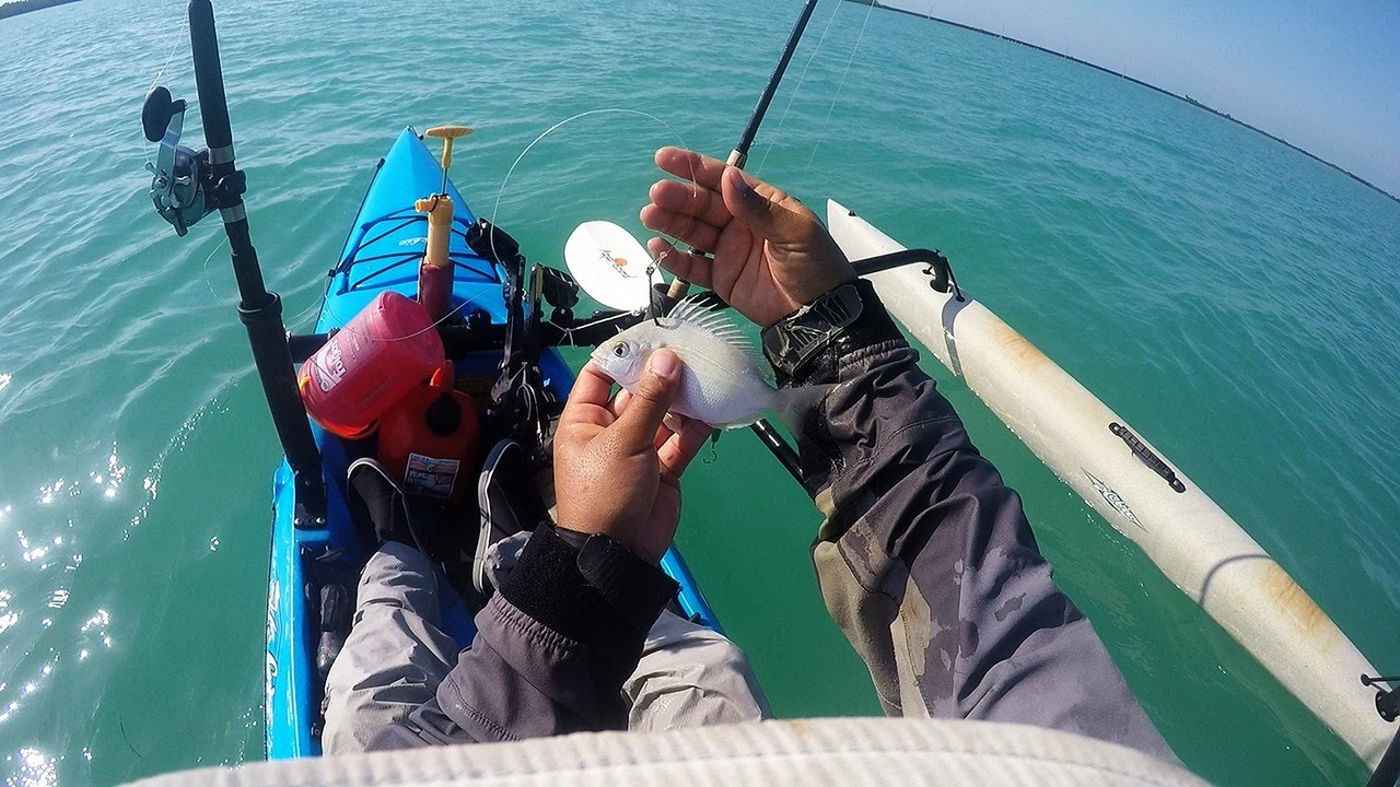 Bobber Fishing For Tarpon - YouTube