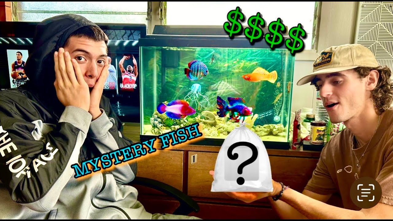SURPRISING MY FRIEND WITH EXOTIC AQUARIUM FISH EP:7 - YouTube