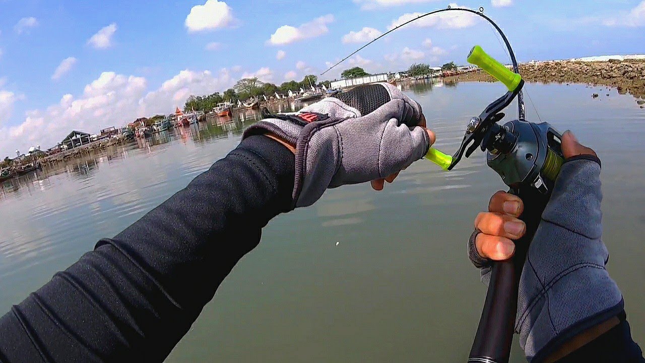 RESIKO BAWA PANCING KECIL, LAWANYA IKAN BESAR_189 - YouTube