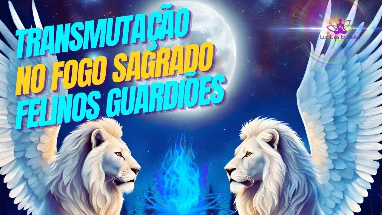 Transmutaçao No Fogo Sagrado Com Os Felinos Alados de Arcanjo Mikael # ...
