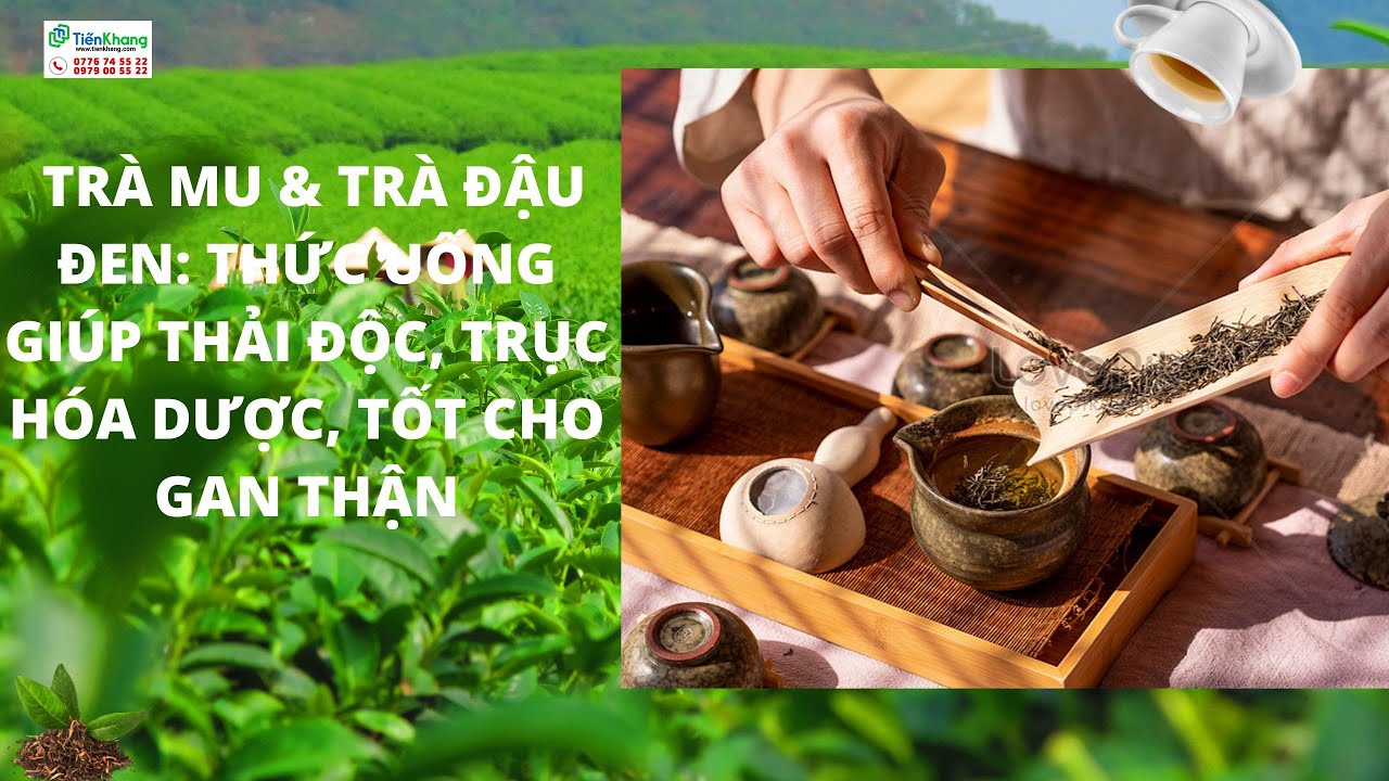 Thức uống #2: Trà Mu & Đậu Đen xanh lòng: Thức uống giúp thải độc, trục ...
