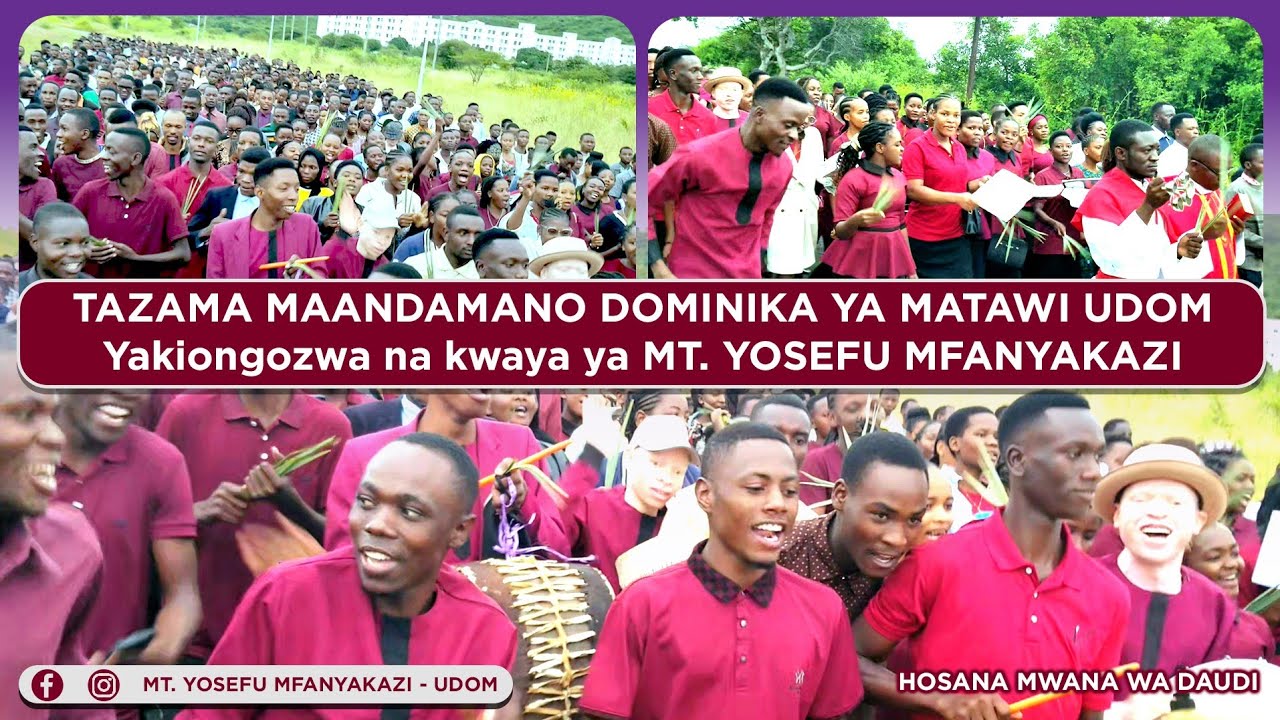 MAANDAMANO DOMINIKA YA MATAWI UDOM:TAZAMA SHANGWE LA WANAFUNZI WA UDOM ...