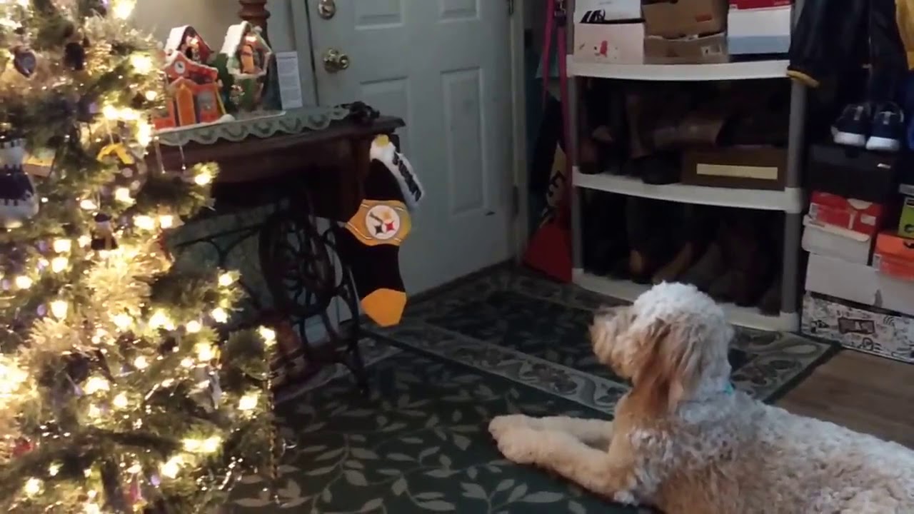 Watching Mickey workshop singing - YouTube