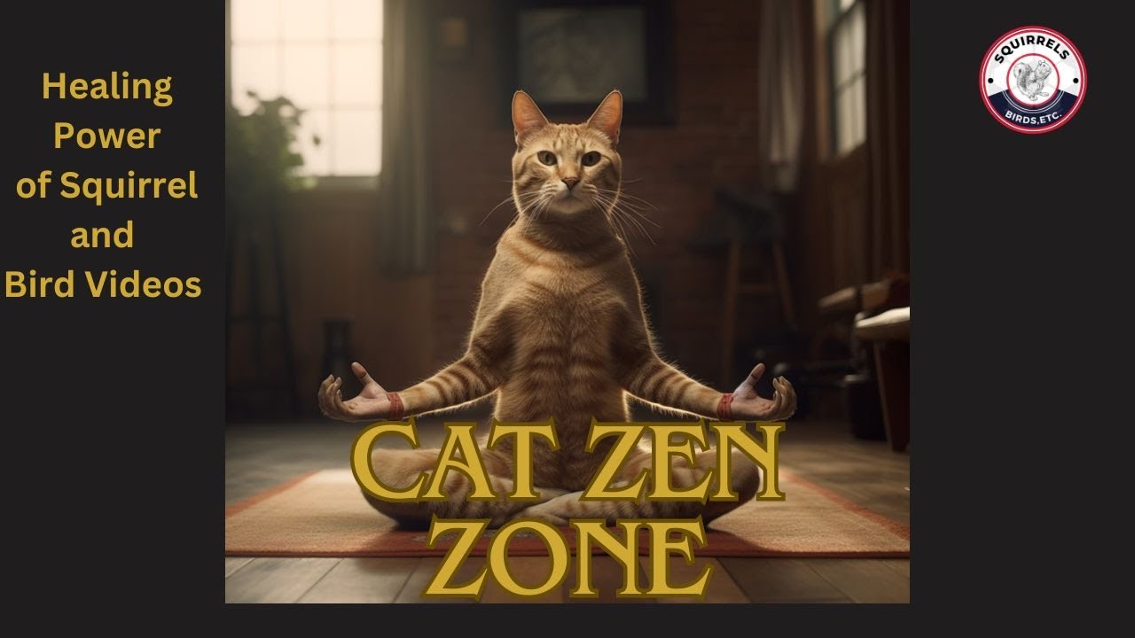 Cat Zen Zone: Unleash the Healing Power of Squirrel and Bird Videos for ...