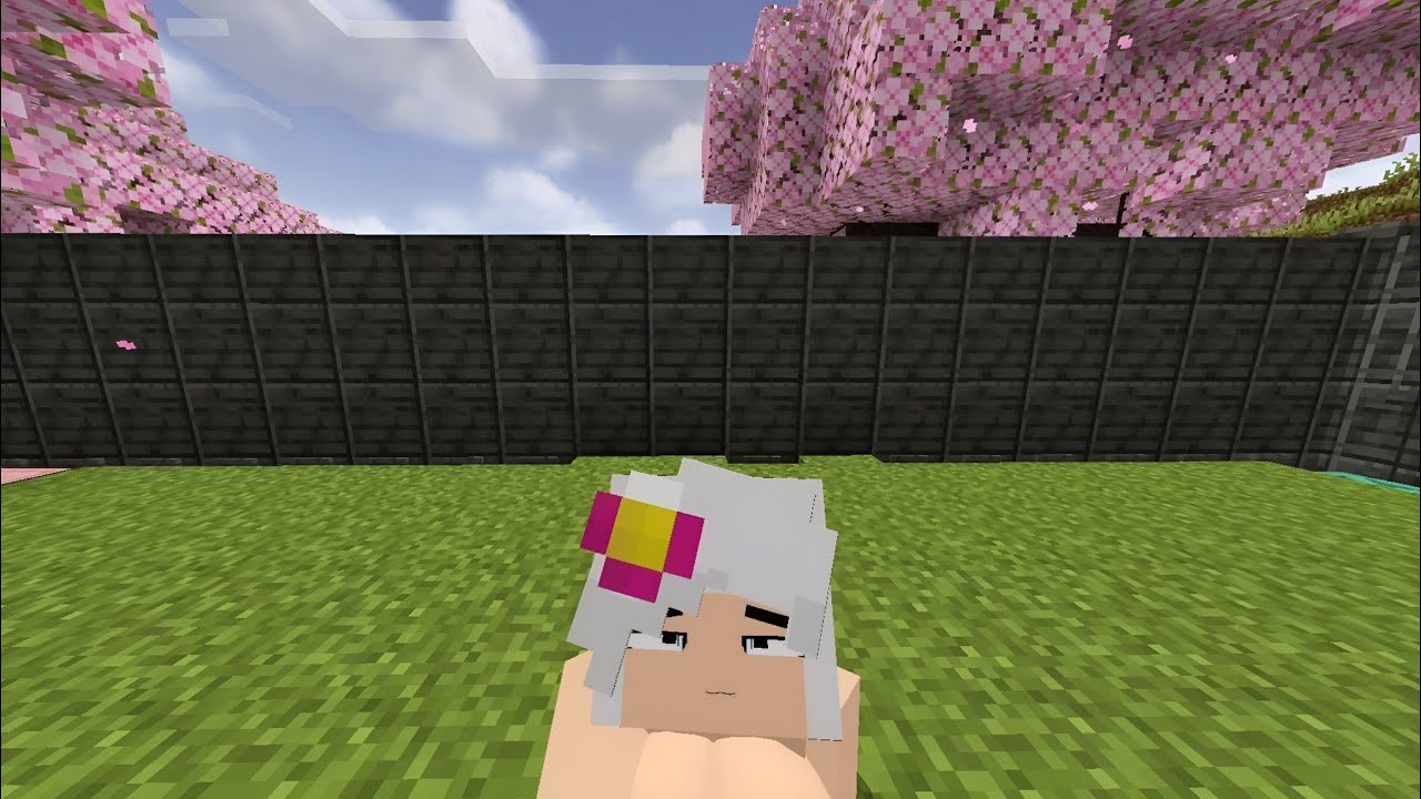 Mission Filled Jenny not safe 😭 in Minecraft (Jenny mod ) Video - YouTube