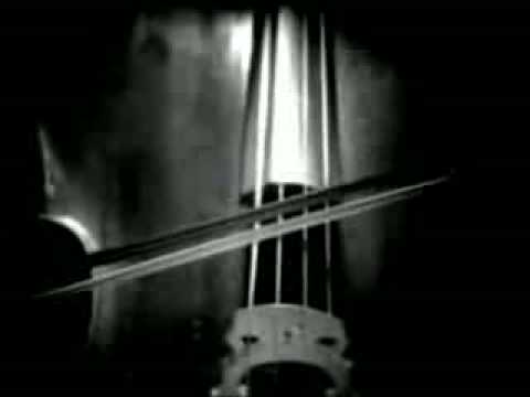 pink torpedoes - wonderwall - YouTube
