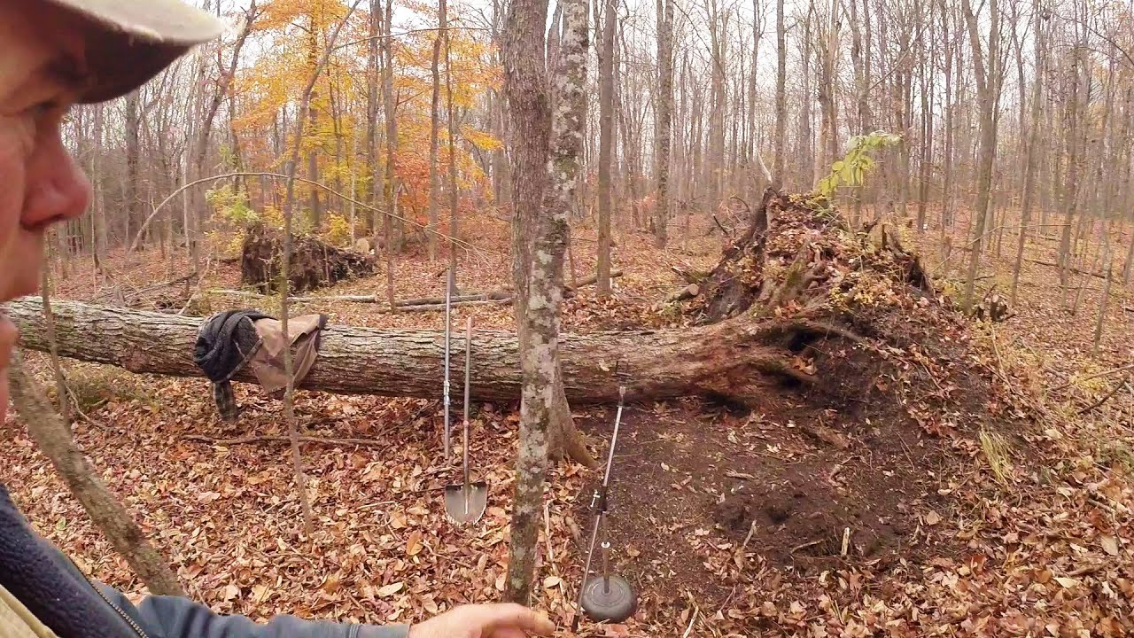 bucking a maple for a path to the ash logs - YouTube