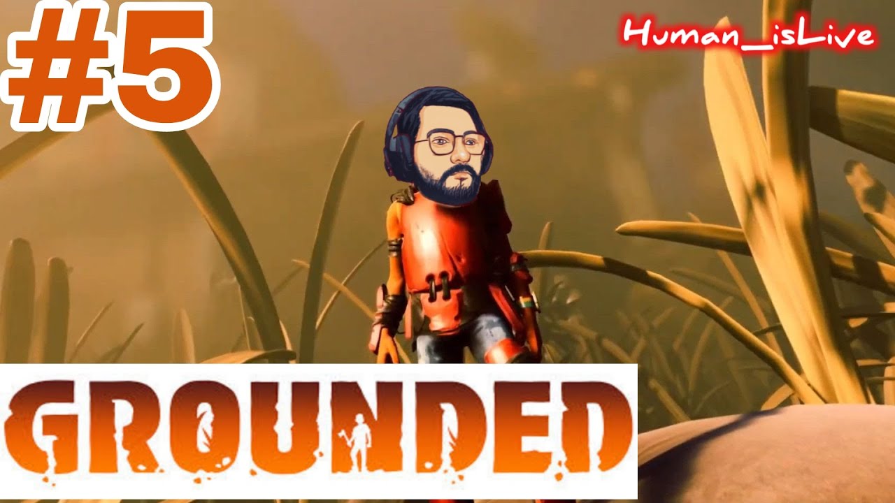 Grounded ( Haze Lab BURG.L 2 Chip Survival Day 5 ) #5 | Human_isLive ...