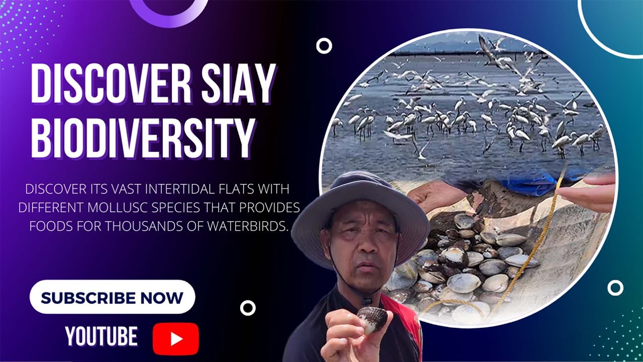 Discover Siay Biodiversity - YouTube