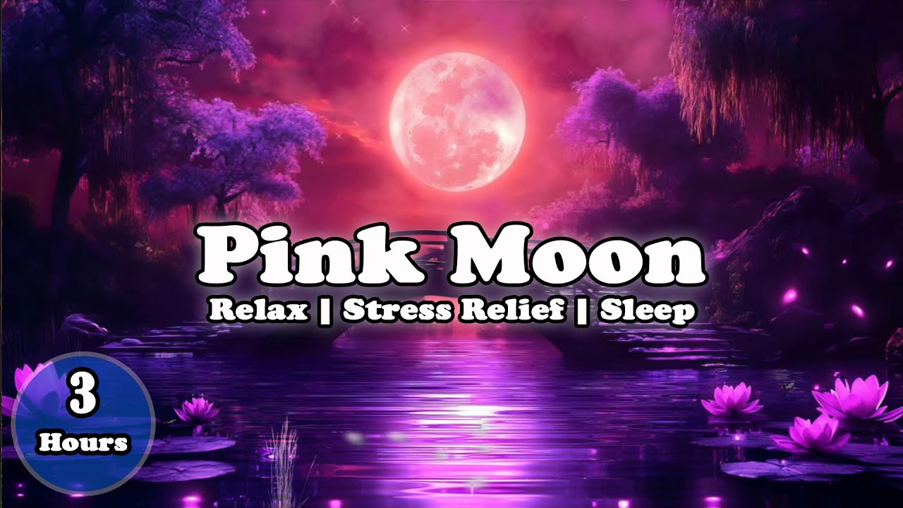 3 Hours of Relaxing Pink Moon & Water | Tranquil Music for Sleep ...