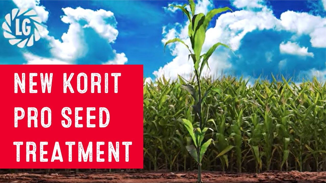 Korit® PRO - NEW seed treatment for maize from Limagrain UK - YouTube