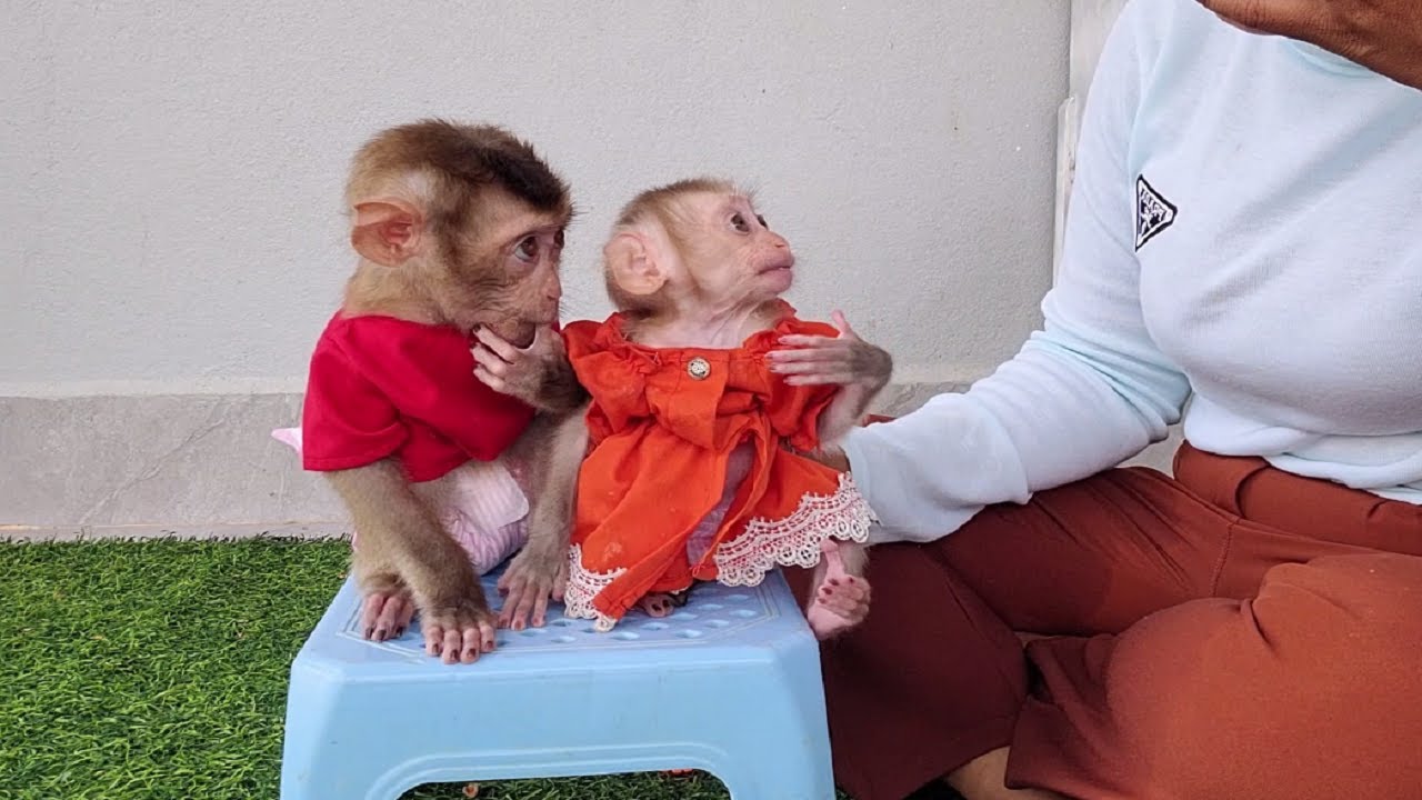 Mother's tasks to prepare for baby Charly and sakana daily - YouTube