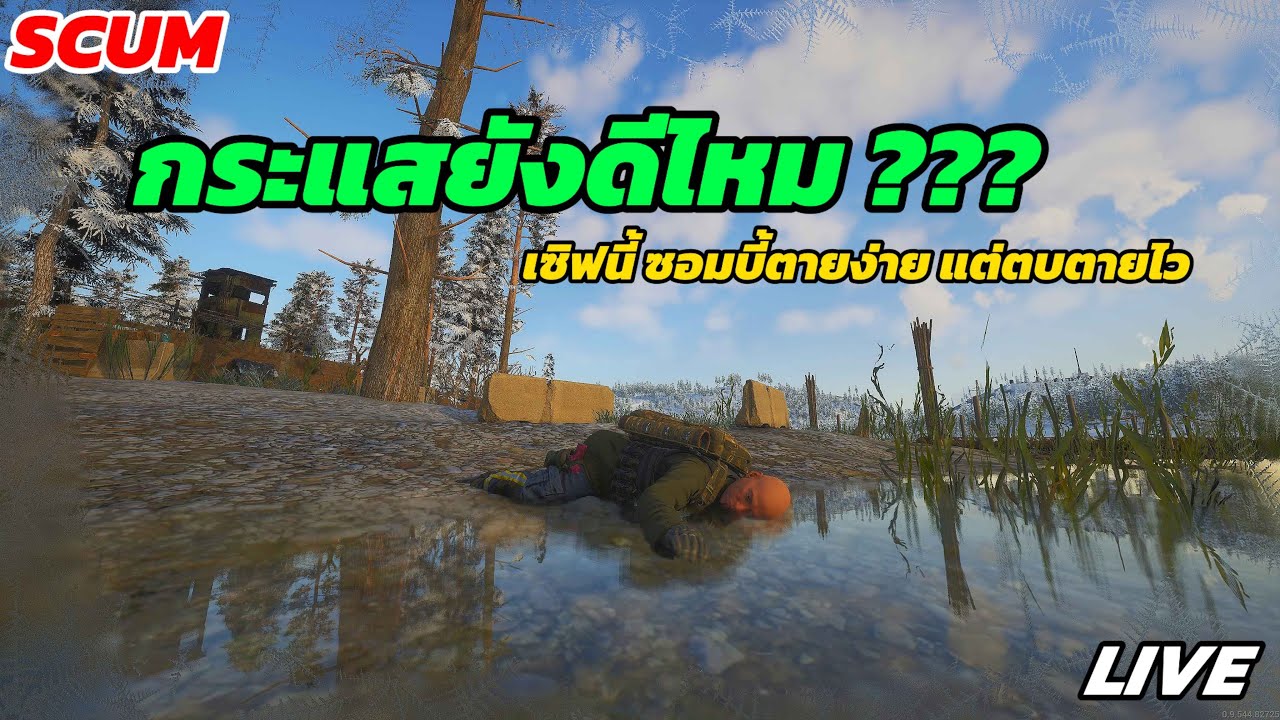 [LIVE] SCUM - กระแสยังดีไหม - เซิฟนี้ ซอมบี้ตายง่าย แต่ตบตายไว #scum # ...