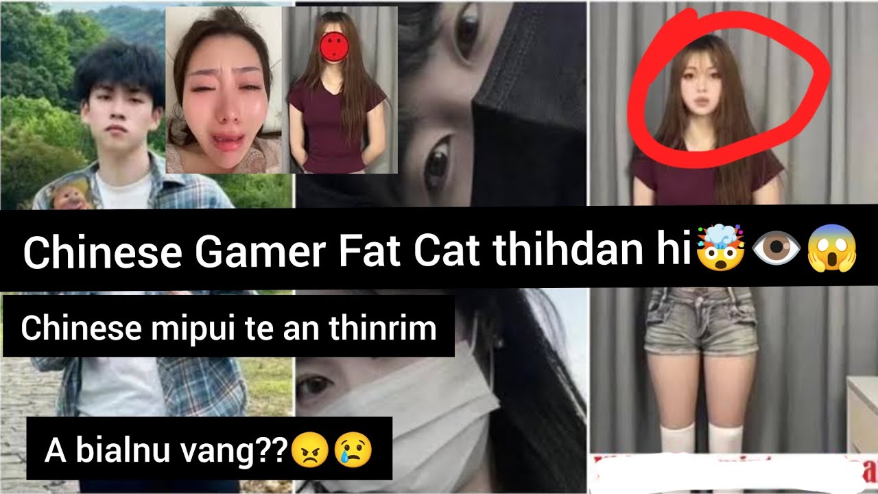 Chinese Gamer Fat Cat a intihlum | A bialnu vang maw?? | Chinese mipui ...