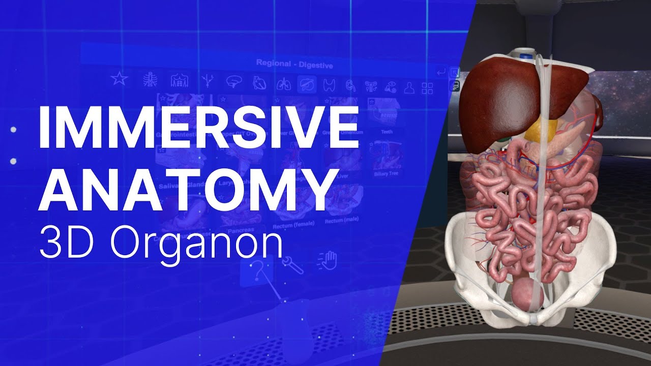 3D Organon Modules: Immersive Anatomy - YouTube