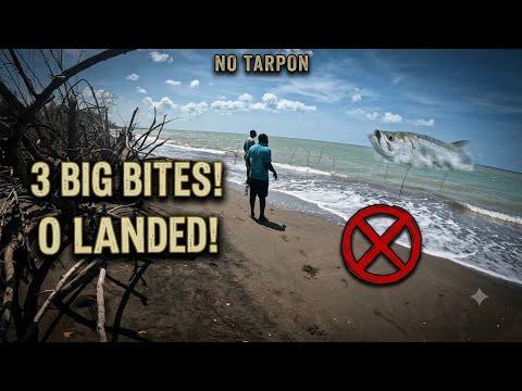 ​3 Massive Strikes, 0 Fish: The Reality of Tarpon Fishing