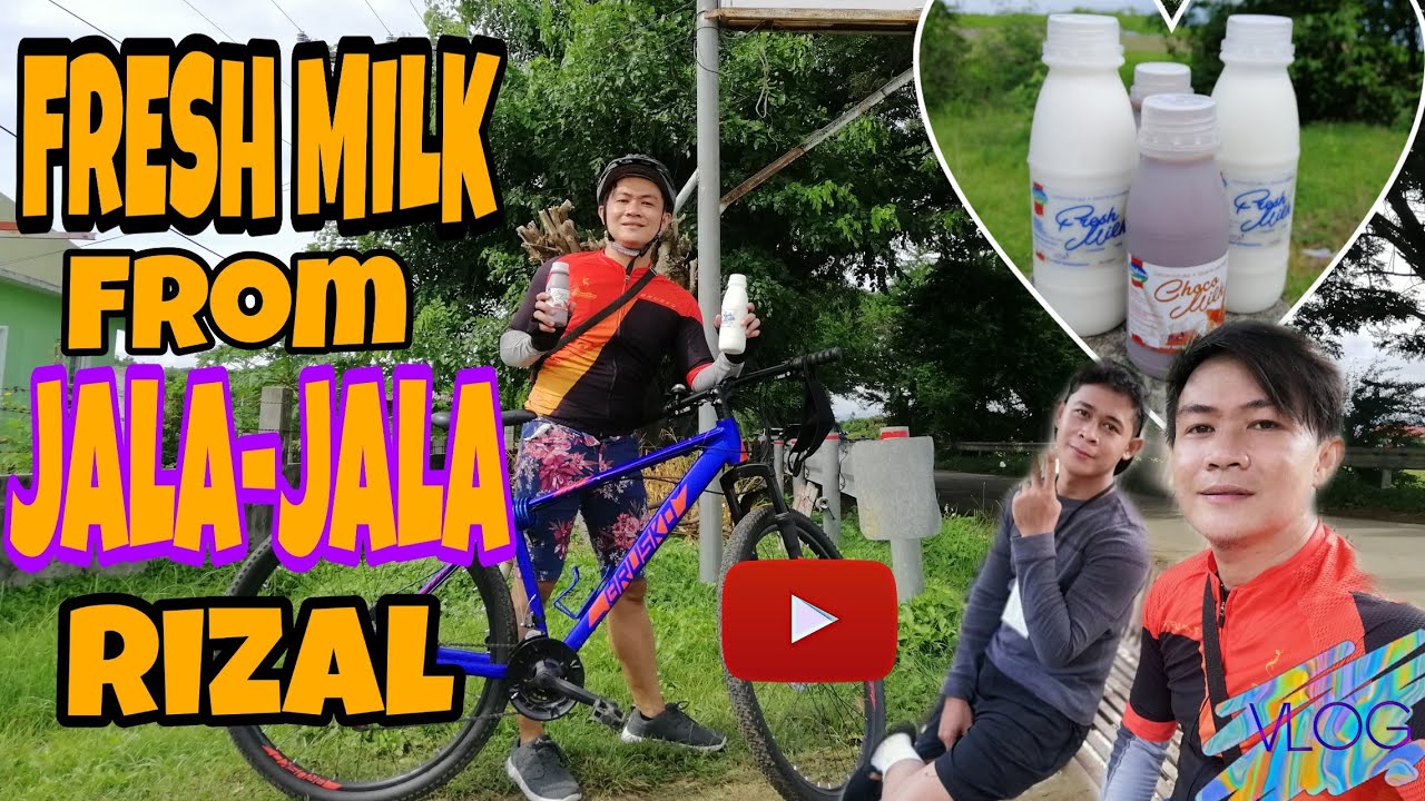 FRESH MILK from Jala-jala, Rizal - YouTube