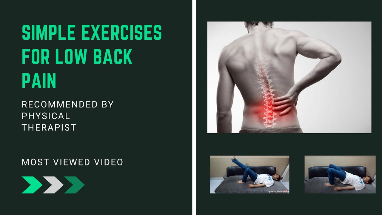 Physiotherapy exercises for lower back pain | back pain treatment | I ...