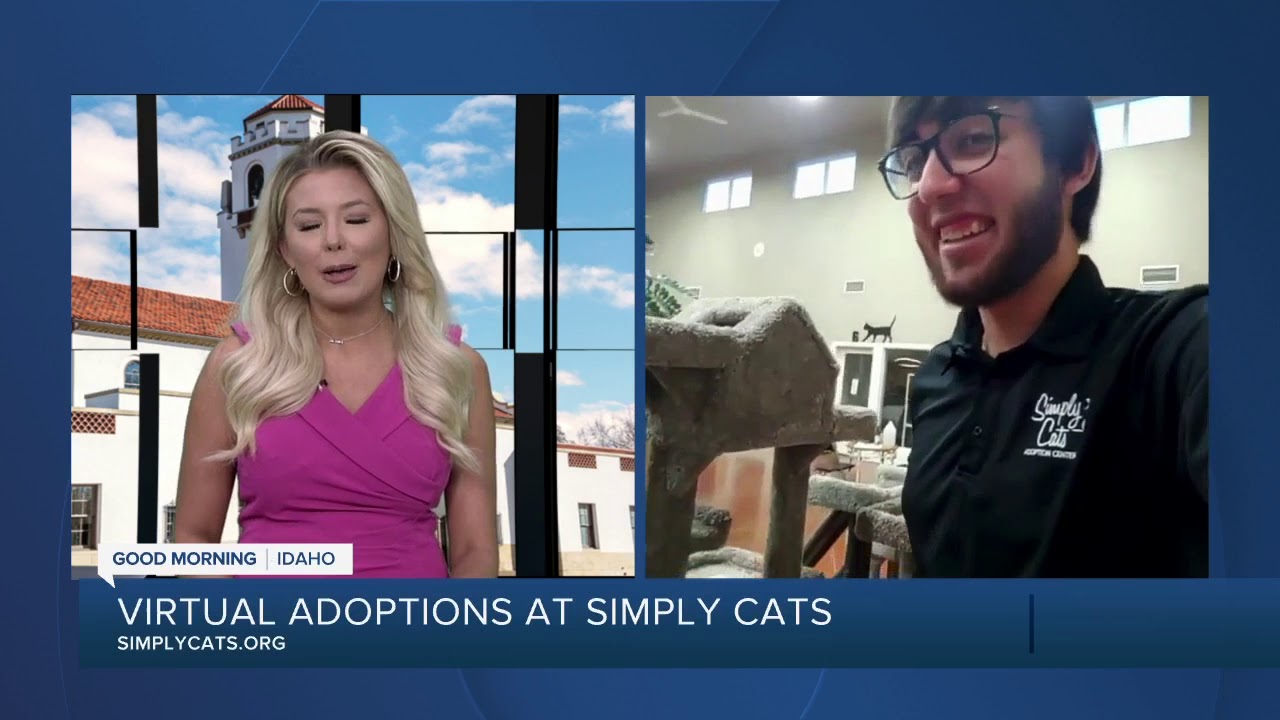 Simply Cats Virtual Adoptions - YouTube