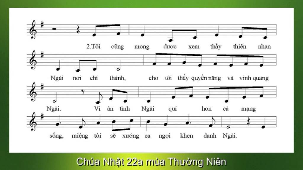 CN 22a mùa Thường Niên, tv62_2014 - YouTube
