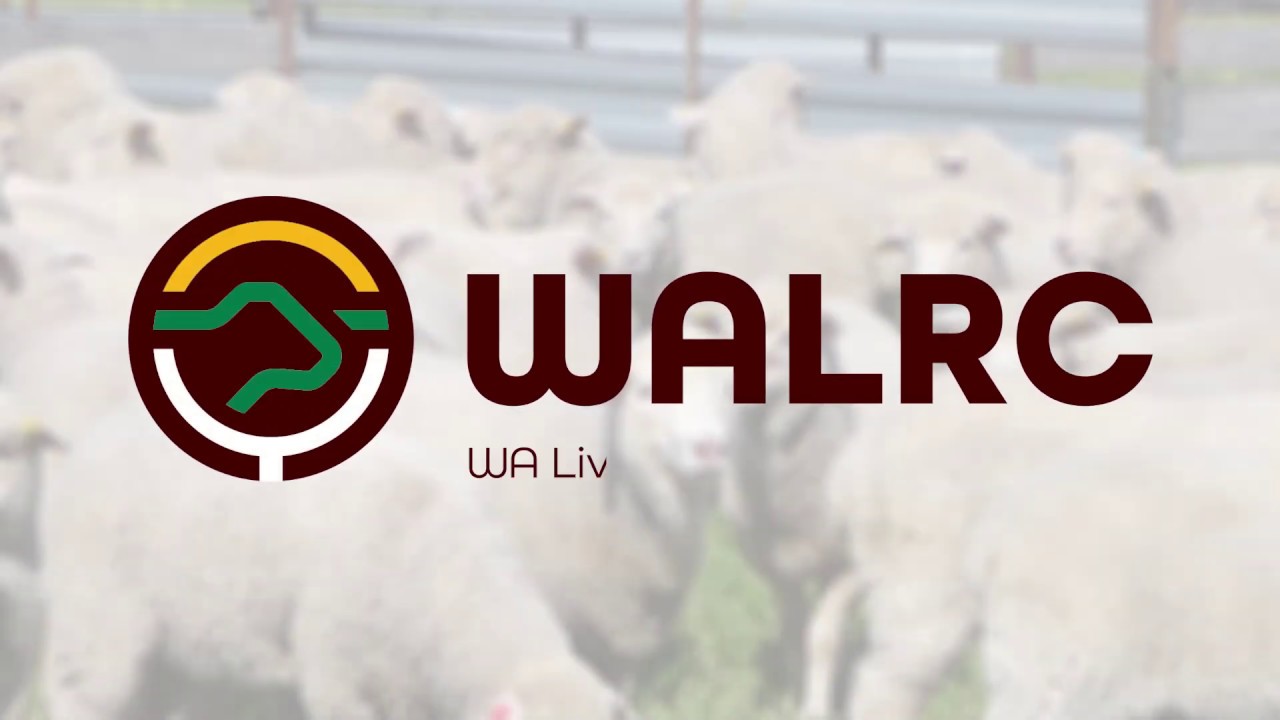 Matt Nield on Grazing Management - YouTube