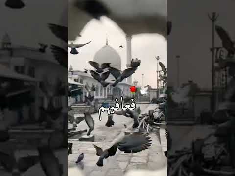 حالات واتساب /أجمل الجمعه /جمعه مباركه /دعاء