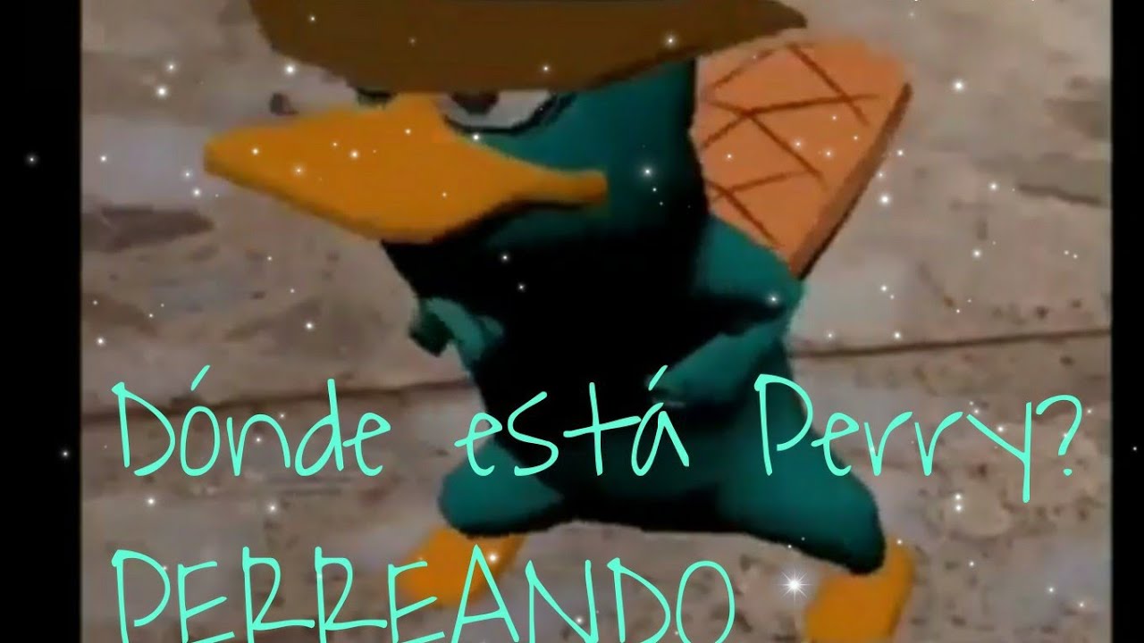 Dónde está Perry? Perrando- MEME COMPILACIÓN 🔺 - YouTube