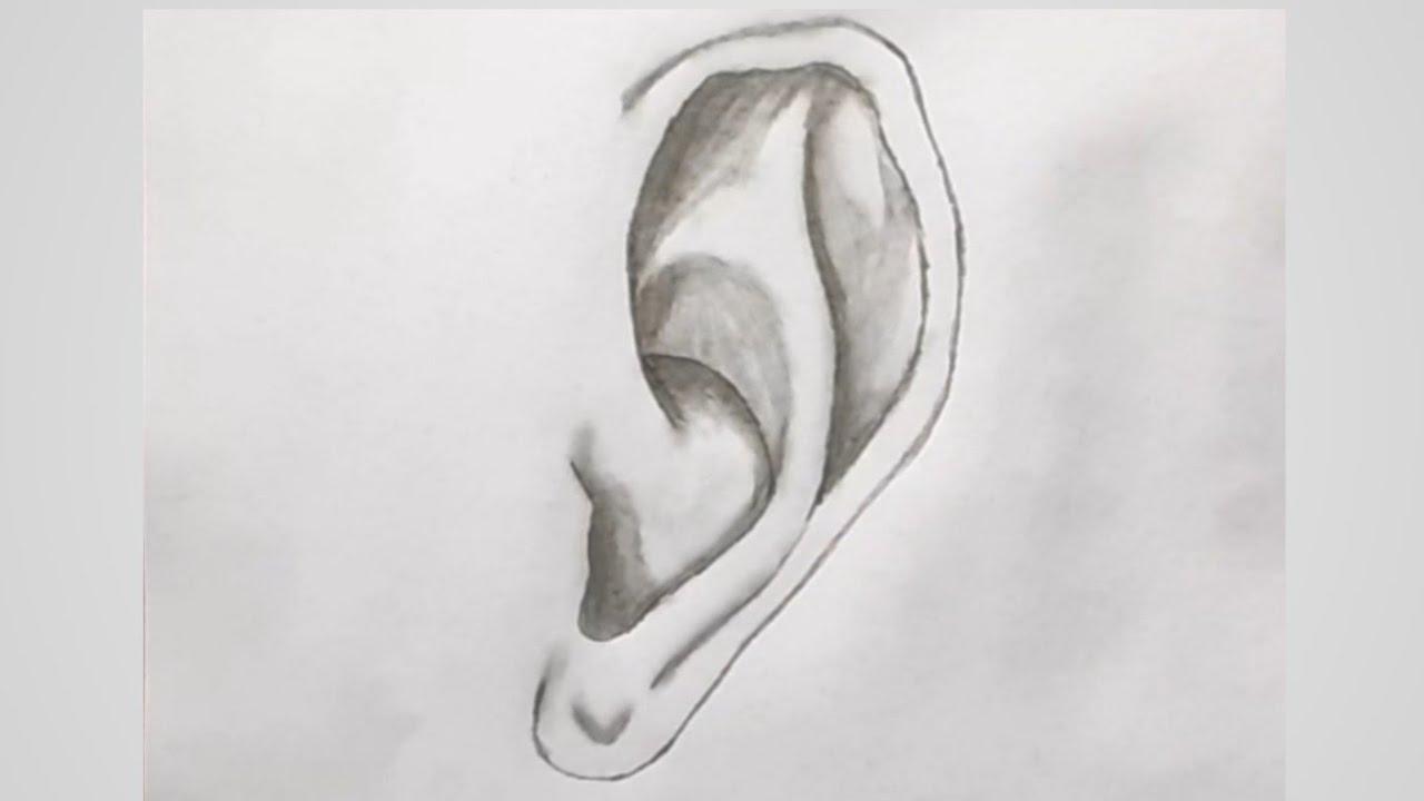 How to draw an ear for beginners - step by step / shade ears - YouTube