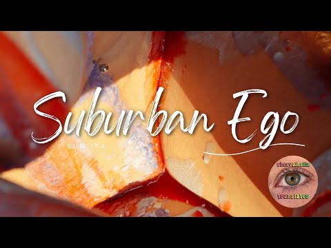 Lauren Ruth Ward • “Suburban Ego” sub ita