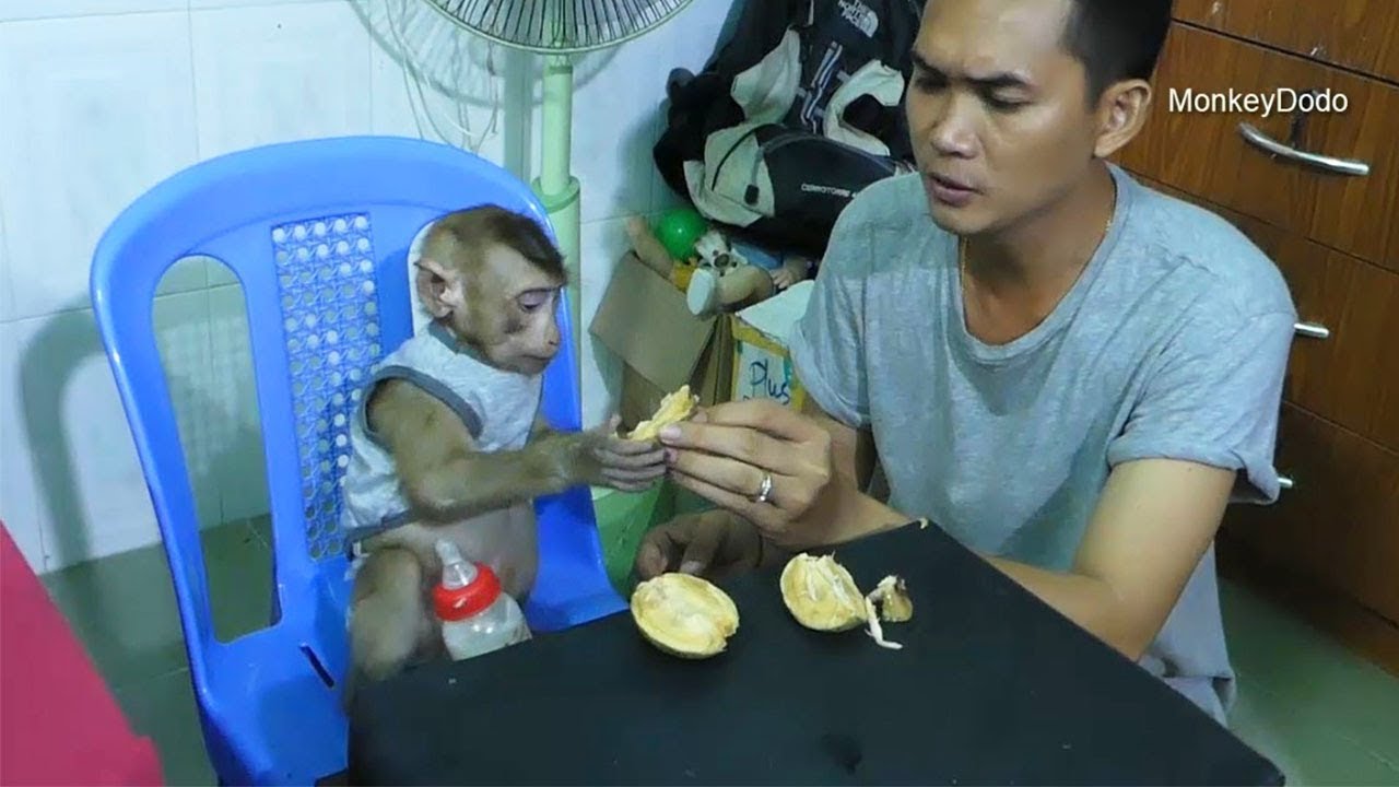 Wow!! First Time Dodo Eat Meal In High Chair - YouTube