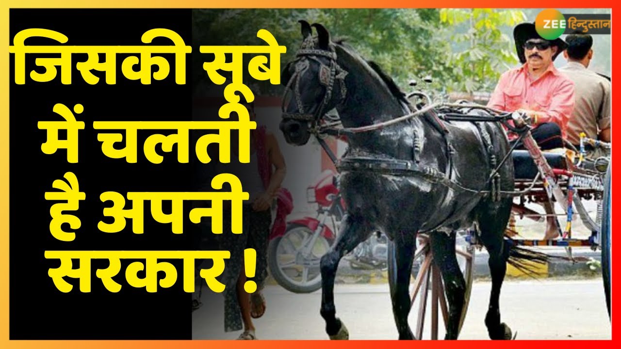 Don Anant Singh : Bihar का DON जो दुश्मनों के मौत की तरीख तय करता था ...