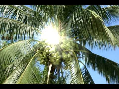 CocoNet Infomercial - YouTube