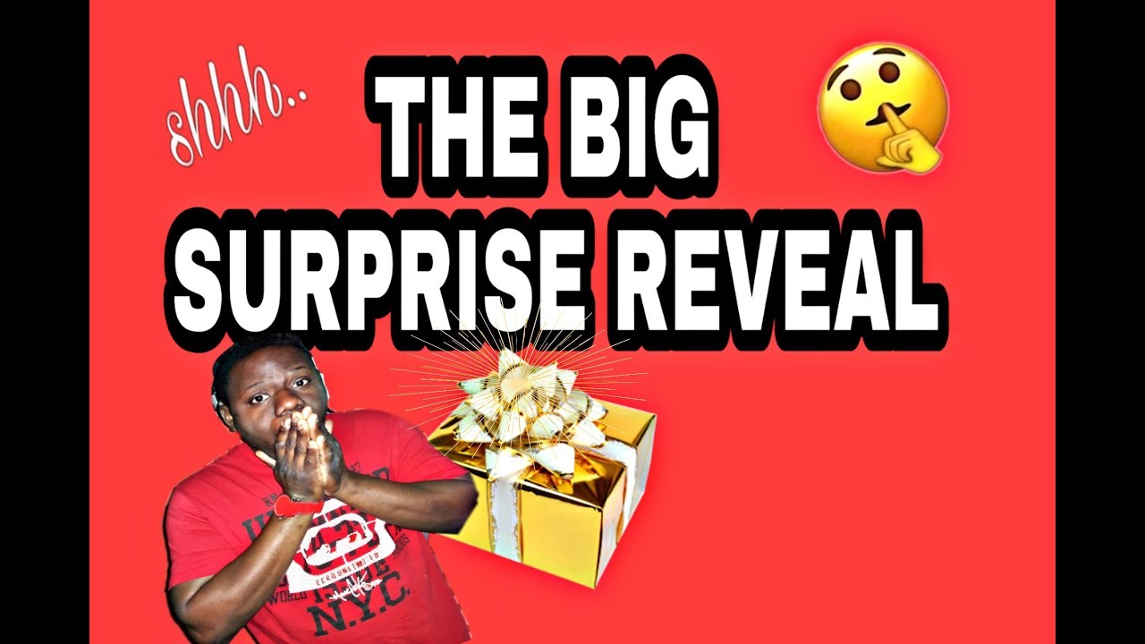 THE BIG SURPRISE REVEAL/ VLOG #45 - YouTube