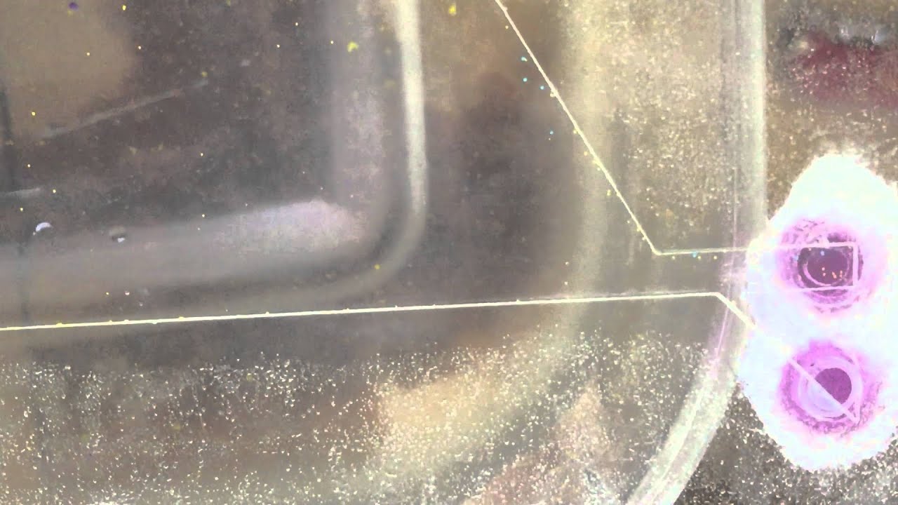 Pinched Flow Fractionation - YouTube