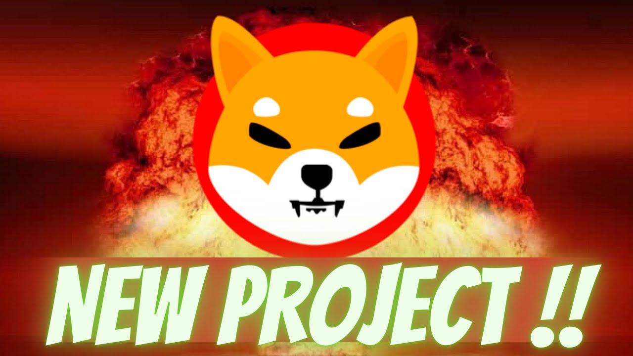 SHIBA INU LEAD DEVELOPER GAVE A TIP ABOUT NEW PROJECT !! #shibainunews ...