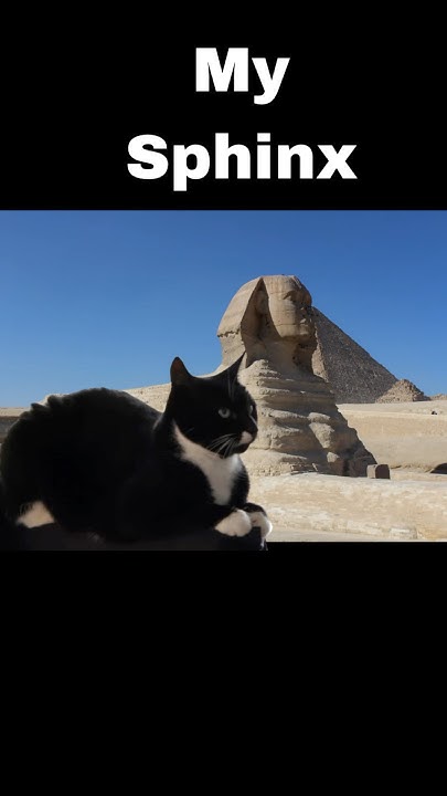 My Sphinx - YouTube